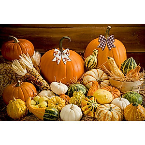 Estivaux 2 Rolls Alpine Cattle Ribbons for Crafting, Spring Wired Edge Ribbon Natural Buffalo Plaid Ribbon Bow Autumn Calf Farmhouse Ribbon for Gift Wrapping Birthday Wedding Decorations Supplies