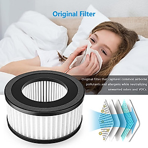 WeGuard True HEPA Filter, Compatible with WeGuard AP-T9/ AP-T10 True HEPA Air Purifier Air Cleaner （1 Pack)