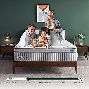 14 Inch Queen Mattress in a Box, Lechepus Plush Memory Foam Hybrid Mattress with Pocket Innerspring, Soft But Supportive Mattress for Pressure Relief, Queen Size 60"*80"
