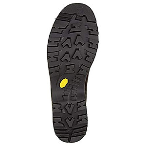 Zamberlan Men's 1023 Latemar NW RR Hiking Boot,Waxed Dark Brown,9 M US