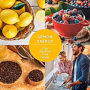 PINALEN Dishwashing Liquid Lemon Energy, 25.3 fl. oz., 1.78 pounds (2412)