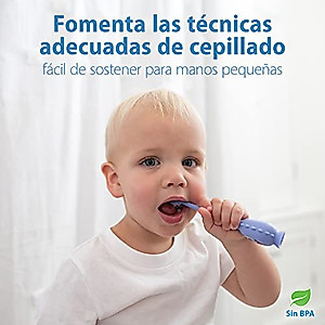 Dr. Brown's ToothScrubber Toothbrush, Three-Sided Toddler Training Toothbrush for Ages 1-4 Years with Suction Cup Base and Color Changing Bristles