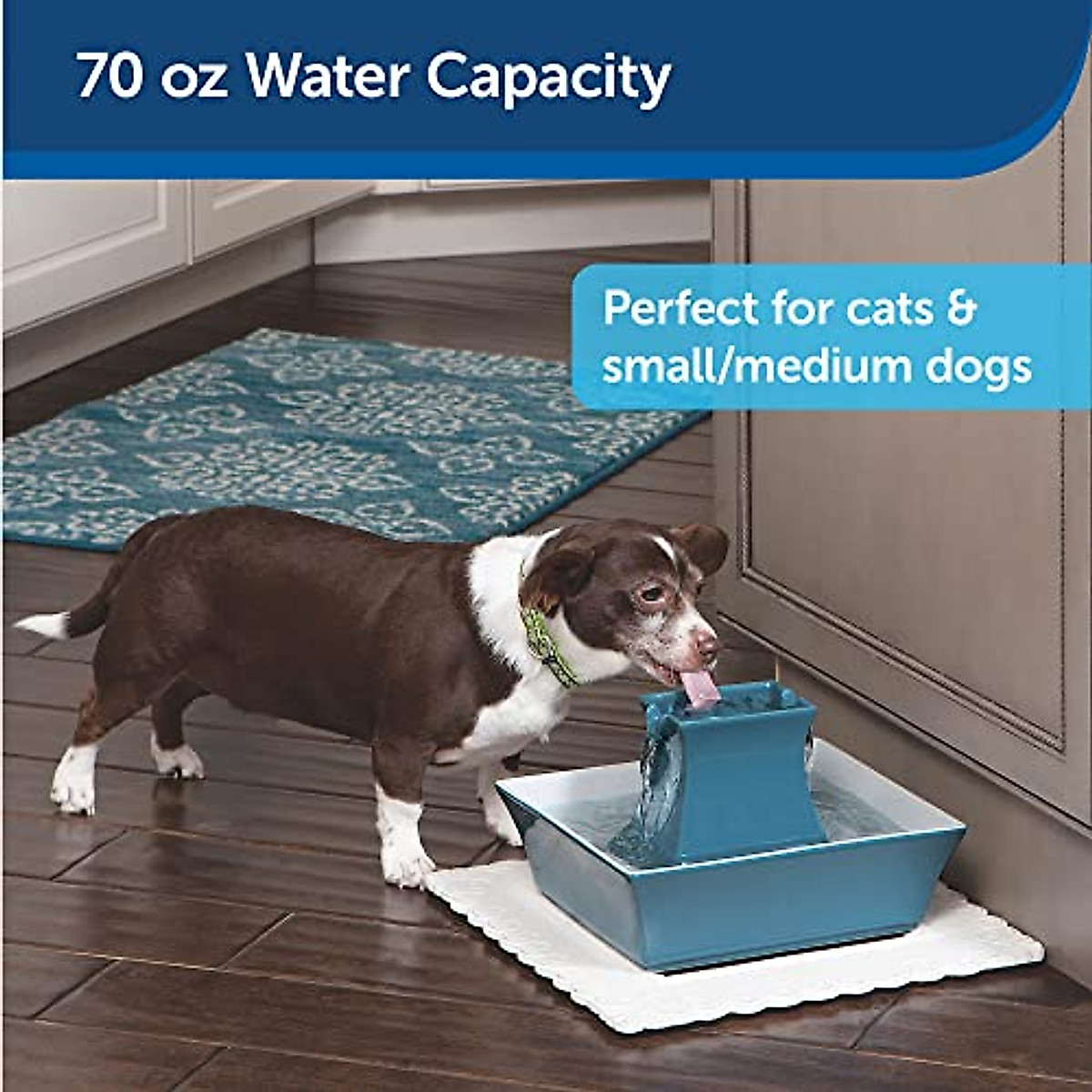 Drinkwell Pagoda Pet Fountain - From PetSafe in Knoxville, TN - Dog Water Bowl Dispenser - Multiple Angles to Drink From - Filters Included - Dog Fountain Provides Water When Power’s Out - Blue