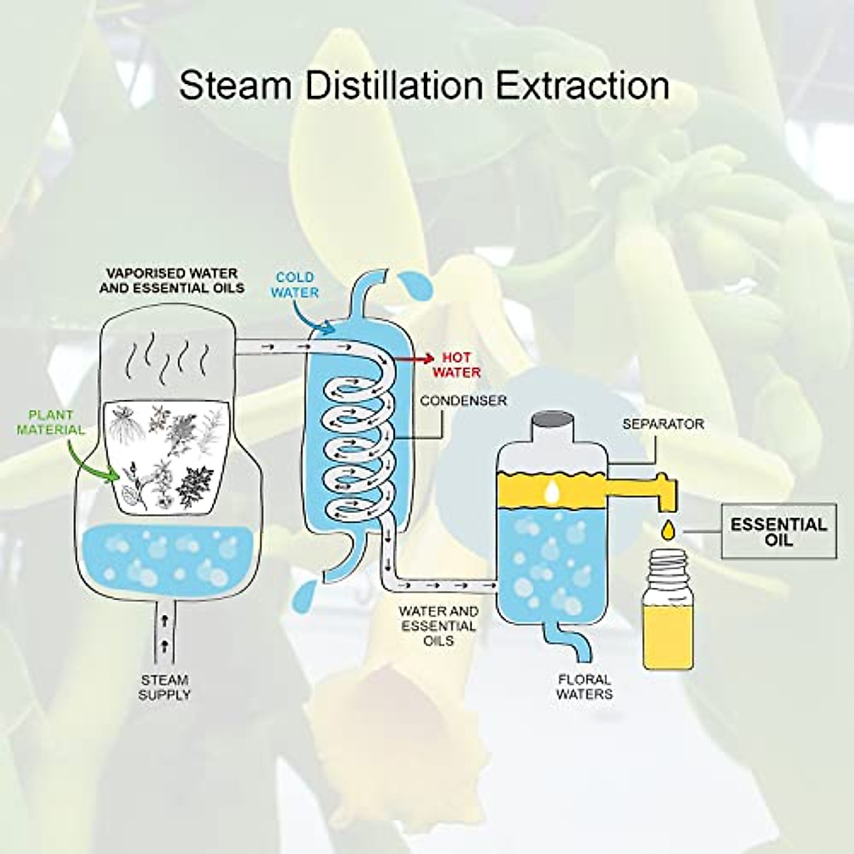 Vanilla Essential Oil Mumianhua Pure Vanilla Oil Essential Oil Vanilla Aromatherapy Oil for Skin, Hair, Diffuser, Soap Making, Candle Making, Cleaning 10ml