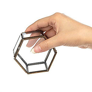 Feyarl Tiny Glass Jewelry Trinket Box Ornate Ring Earring Box Preserved Flower Glass Box Organizer Decorative Box with Lid for Wedding Dresser Deco(Brass)