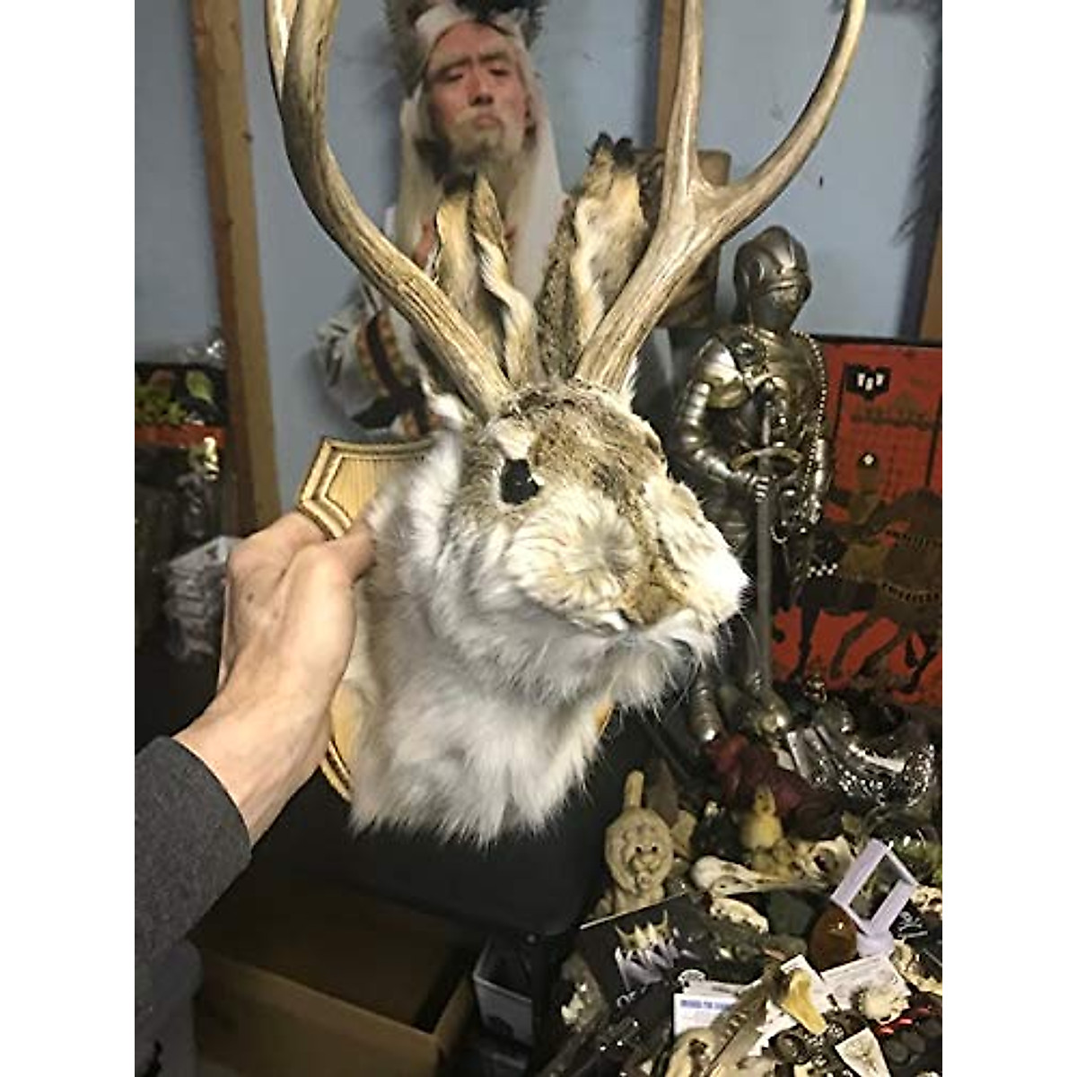 Jackalope Shoulder Head Mount Taxidermy Mounted 4 Point Antlers Professionally Done (Bailey)
