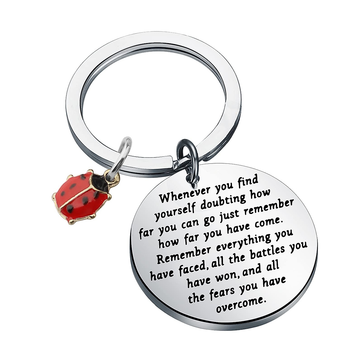 TIIMG Ladybug Inspirational Keychain Ladybug Lover Gifts Good Luck Gifts For Friend Best Friend (Ladybug whenever)