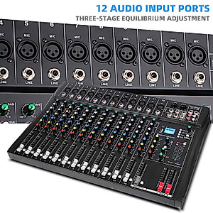 Depusheng DT12 Studio Audio Mixer 12-Channel DJ Sound Controller Interface w/USB Drive for Computer Recording Input, XLR Microphone Jack, 48V Power, RCA Input/Output for Professional and Beginners
