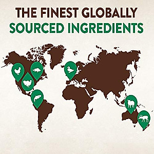 Wellness CORE Grain-Free High-Protein Dry Dog Food, Natural Ingredients, Made in USA with Real Meat, All Breeds, For Adult Dogs (Wild Game Duck, Lamb Meal, Boar & Rabbit, 26-Pound Bag)