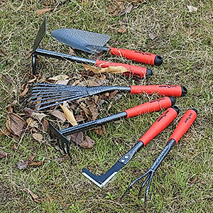 FLORA GUARD 6 Piece Garden Tool Sets - Including Trowel,5-Teeth rake,9-Teeth Leaf rake,Double Hoe 3 prongs, Cultivator, Weeder, Gardening Hand Tools with High Carbon Steel Heads