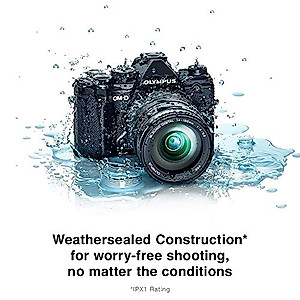 OLYMPUS OM-D E-M5 Mark II (Black) (Body Only)