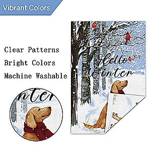 Hello Winter Dog Garden Flag 12x18 Double Sided, Burlap Farmhouse Small Golden Cardinal Retriever Garden Yard Flags for Winter Seasonal Outside Outdoor House Holiday Decor (ONLY FLAG)