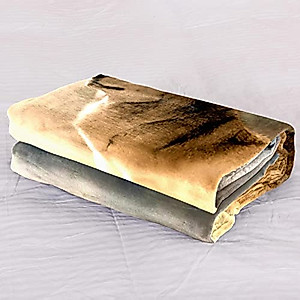 Lightweight Fleece Blanket for Sofa,Forest Foggy Winter Wolf,Soft Blanket and Throw Blankets for Bed Couch