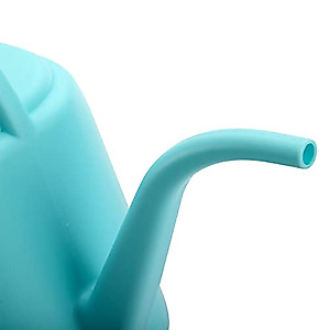 Fasmov 1-Gallon Plastic Watering Can with Comfortable Handle, Garden Watering Cans Long Spout for Indoor Outdoor Watering Plants, Bright Blue