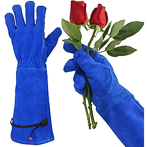 GLOSAV Professional Thorn Proof Gardening Gloves for Women and Men Rose Pruning & Cactus Trimming, Long Sleeve Heavy Duty Ladies Garden Gloves, Cowhide Leather (Small, Blue)