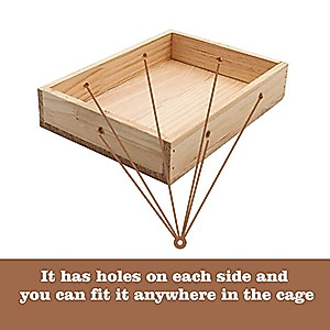 Bird Parrot Wooden Feeding Cups, Natural Wooden Parrot Bird Perch Stand, Birds Food Dish, Bird Cage Food Standing Feeding Perch Bowl Toy for Small Animal Parrot, Rat, Parakeet, Budgies, Love Birds