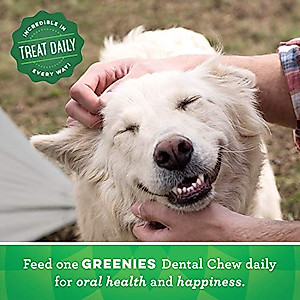 Greenies Original Regular Natural Dental Care Dog Treats, 54 oz. Pack (54 Treats)
