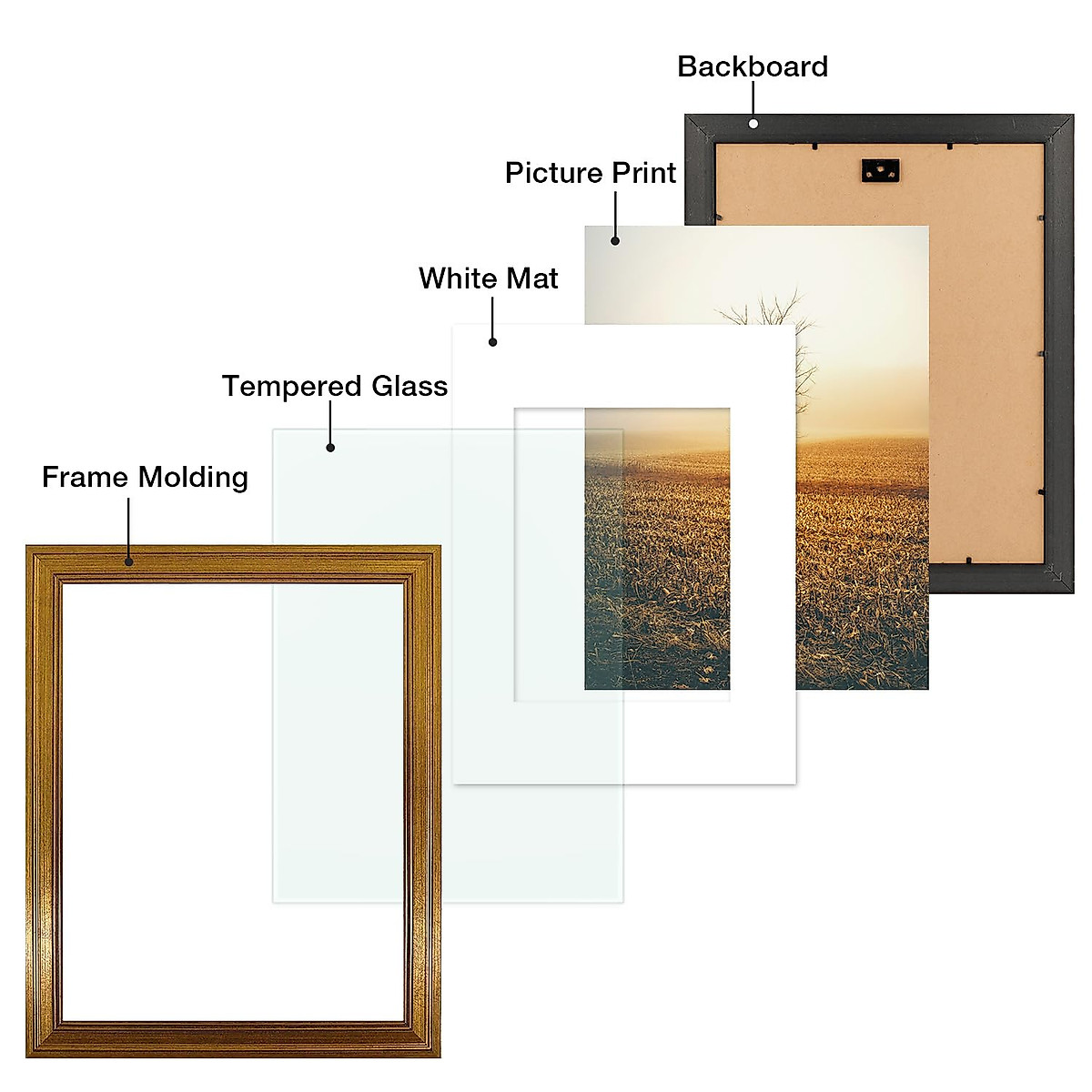 Golden State Art, 11x14 Photo Frame with White Mat for 8x10 Pictures & Real Glass, 1.25-Inch Wide, Dark Gold
