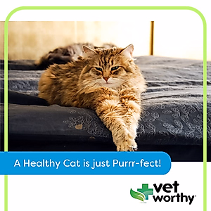 Vet Worthy Joint Paw Gel for Cats - 3oz - Glucosamine Chondroitin Joint Support Supplement -with MSM, Vitamin C, Yucca Schidigera, Sea Kelp - Salmon Flavor Cat Paw Gel - Daily Use