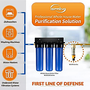 iSpring WSP100B Large Reusable Whole House Spin Down Sediment Water Filter with Built-in Housing Scraper and Brass Top Clear Housing, 100 Micron