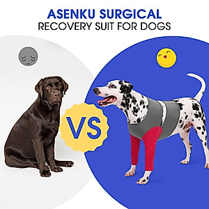 ASENKU Professional Recovery Suit for Dogs, Soft Breathable Front Legs Recovery Sleeve to Stop Licking, Female & Male Dog Leg & Elbow Protector for Wounds, Adjustable Dog Cone E-Collar Alternative