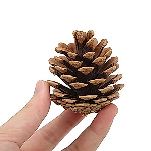 Hztyyier Bunny Chew Toy Rattan Ball Straw Rope Pine Cone for Pets Rabbits Birds Hamster Chinchilla