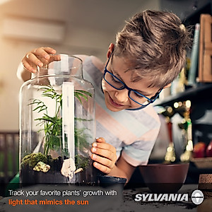 SYLVANIA Incandescent Spot-Gro 60W Grow Light Bulb, A19, Dimmable, 705 Lumens, Frosted, 2850K, Soft White - 1 Pack (12280)