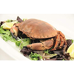 DOITOOL Metal Forks Metal Forks Metal Forks 12pcs Seafood Crackers Tools Crab Leg Tools Stainless Steel Seafood Crackers Forks Nut Set Household Tool Set Household Tool Set Household Tool Set