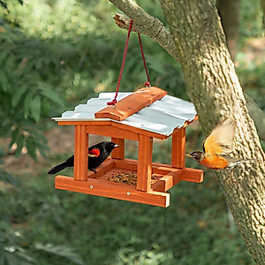 PETSFIT Wooden Bird Feeder, Fly Through Platform with PVC Roof for Outside Hanging, Garden Backyard Decor, Great for Attracting Birds, Gift for Bird Lovers