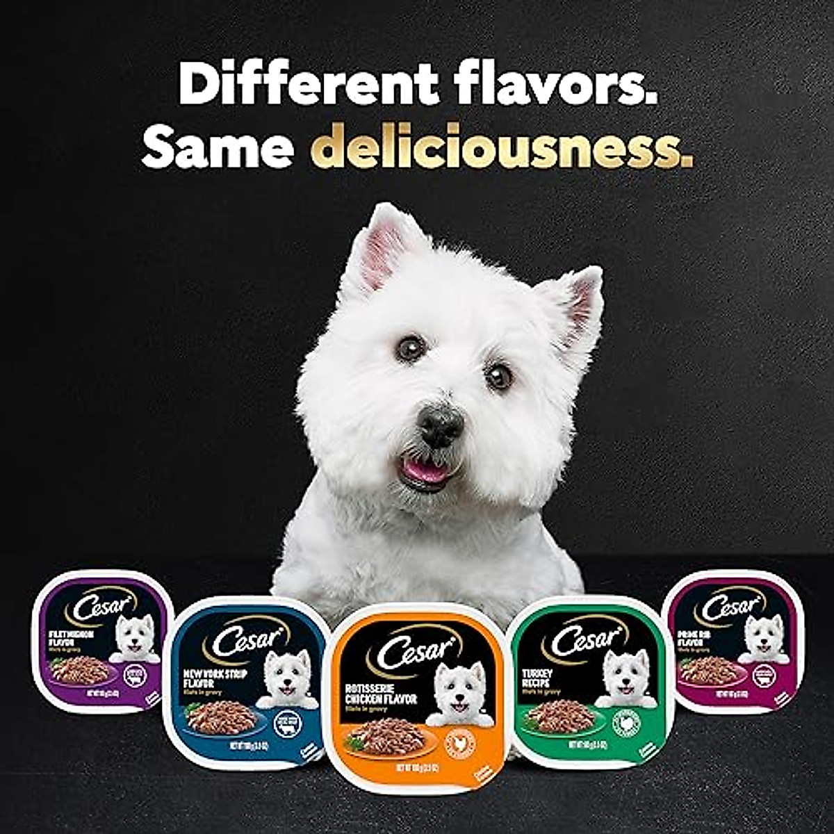 CESAR Soft Wet Dog Food Filets in Gravy Turkey Recipe, (24) 3.5 oz. Easy Peel Trays