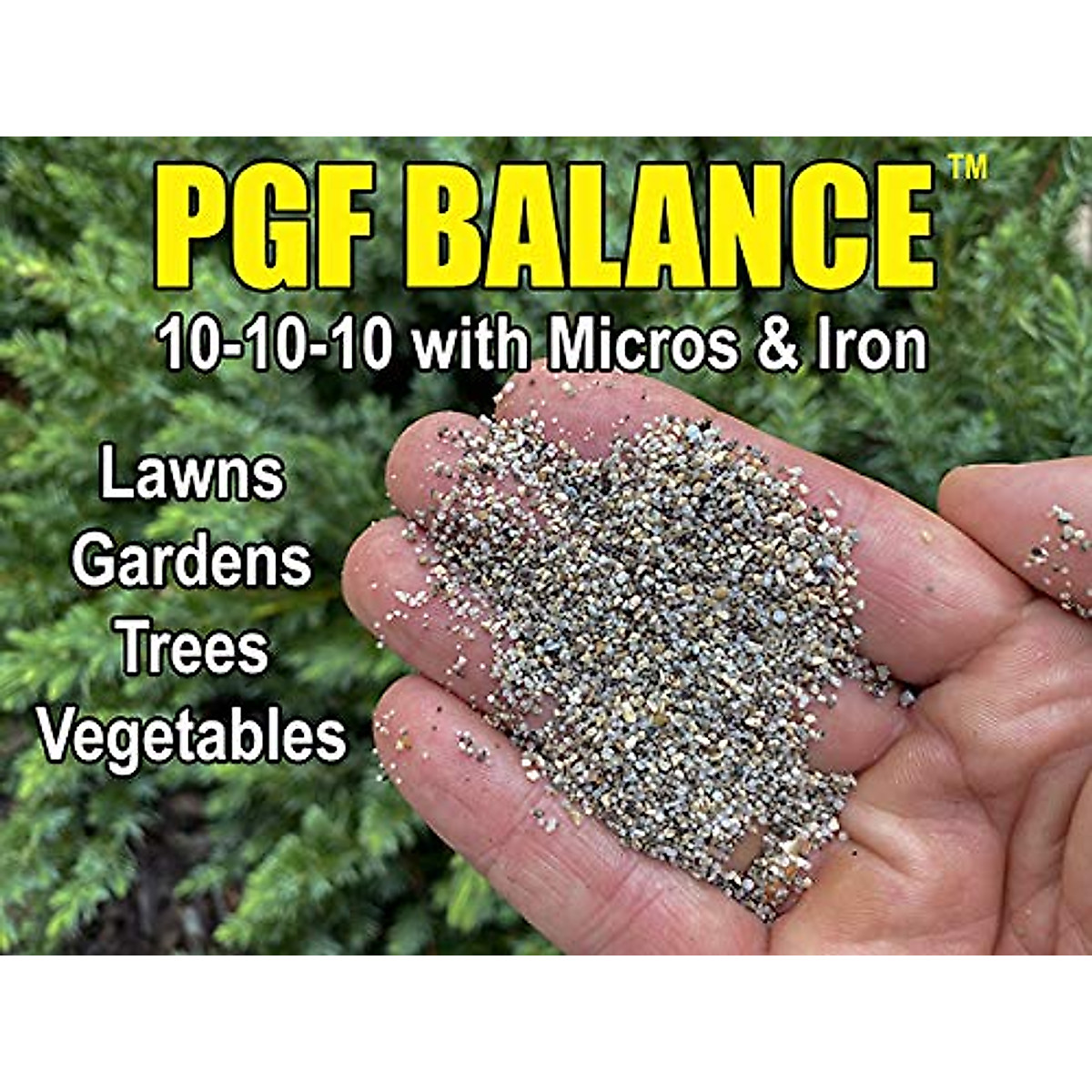 The Andersons PGF Balanced 10-10-10 Fertilizer with Micronutrients and 2% Iron (5,000 sq ft)