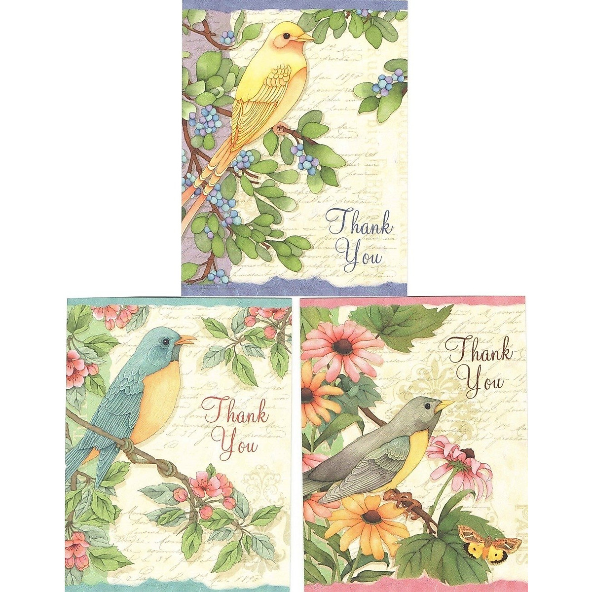 Joy Hall Winged Floral Thank You Cards (8 Cards; 4" x 5.25"; White Envelopes)