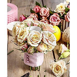 200+ Mixed Color Rose Seeds for Garden Planting 16 Varieties of Bush Perennial Shrub Heirloom 90% Germination Rate Open Pollinated Wonderful Gardening Gifts