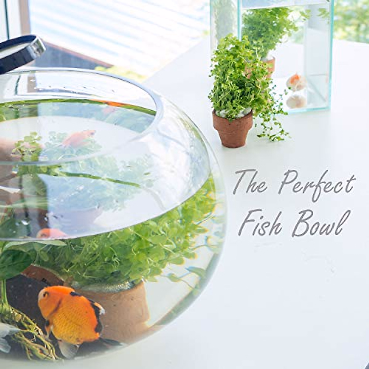 CYS EXCEL Large Glass Bubble Bowl (H-13.5" W-15.25", Approx. 9 Gal.) | Multiple Size Choices Fish Bowl Vase | Glass Round Bowl Terrarium | Globe Flower Vase Centerpiece