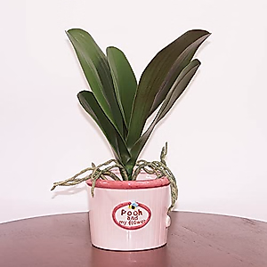 Qianmo Artificial Orchid Leaf Plants PU Latex Real Touch Faux Leaves Arrangement Home Décor Office Garden Bonsai Decoration Flowers (Big Size (3 Bunches))