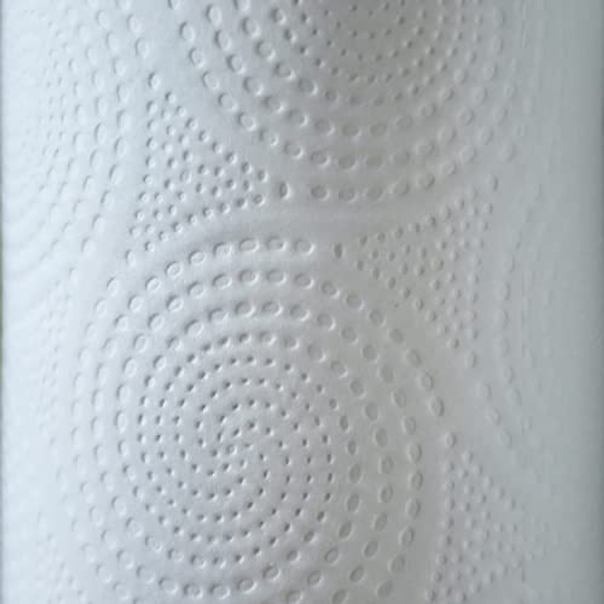 Genuine Joe-GJO24080 2-Ply Household Roll Paper Towels (Pack of 30) - WHITE