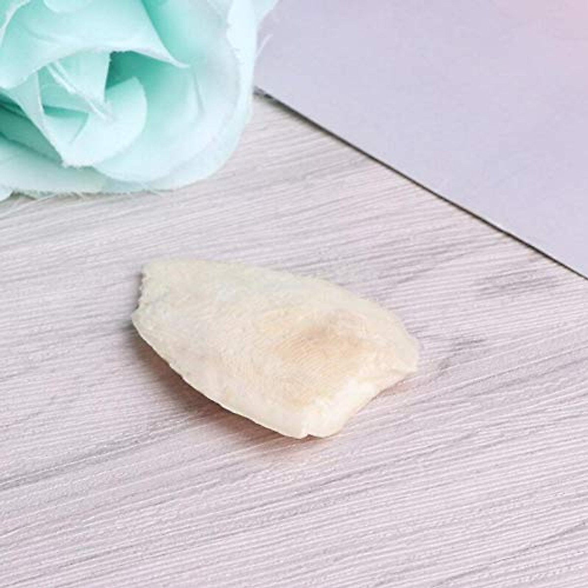 Zonster 1 Bag Cuttlebone Cuttlefish Sepia Bone Cuttle Fish Bird Food Calcium Pickstone Parrot Birds Teeth Grind Training