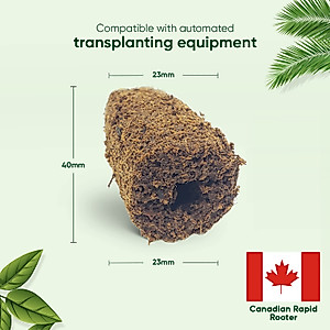 BioPlug Germination Rooter Cube 100 Pcs - Replacement Root Growth Sponges Kit Compatible with Aerogarden - Seed Starter Sponge Pods for Indoor Hydroponic Growing System