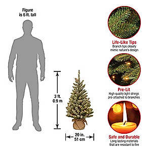 National Tree Company Pre-lit Artificial Mini Christmas Tree | Includes Small White LED Lights and Cloth Bag Base | Snowy Concolor Fir Burlap - 3 ft, Brown/Green