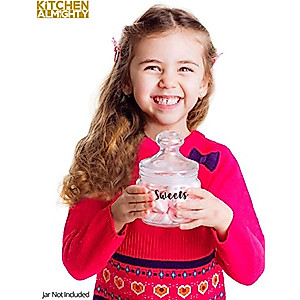 Kitchen Pantry Food Organization Clear Labels: 102 Attractive Gloss Artistic Preprinted Water Resistant Label Set to Organize Storage Containers, Jars & Canisters w/Extra Write-on Stickers