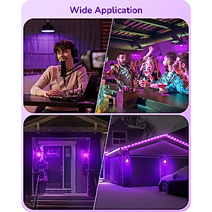 EDISHINE Christmas Purple LED Light Bulbs, 14W Purple Bulb Equivalent 100W Colored Light Bulb, E26 Base A19 Light Bulbs for Christmas Decoration, Holiday Lighting, Porch Patio, 4 Pack