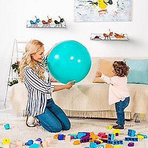 12 Pieces Clear Acrylic Shelf 15 Inch Acrylic Floating Shelves Invisible Ledge Wall Bookshelf for Kids Wall Mounted 3 mm Thick Bathroom Shelves for Office Bedroom Bathroom Kitchen