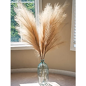 Boho Wish Faux Pampas Grass Decor Tall Set of 7 PCs -40 Inches Non-Shedding, Floor and Office Vase Filling-Fluffy Floral Branches -Wedding Decor- Home and Bedroom Table Decoration (Brown)