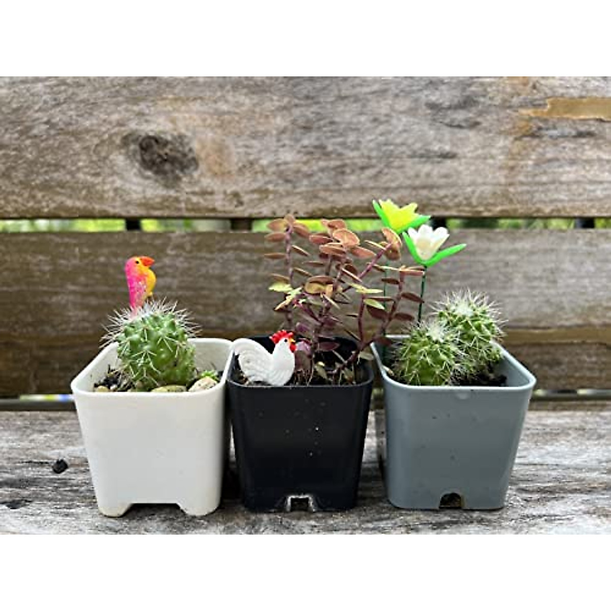 Ray 1979 Miniature Dollhouse Fairy Garden Accessories 5 pcs Set for DIY Decorations, Mini Figurines for Mini Garden, Terrarium, Bonsai, Cactus, Moss Landscape (Flower 5 Pcs)