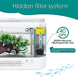 AQQA 1.8 Gallon Multifunction Self-Cleaning Fish Tank,Small Desktop Aquarium Starter Kit,Hidden Filtration with LED Color Light and Aromatherapy Diffusers,Suitable for Home and Office