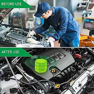 12pack Peppermint Oil Rat Repellent, Reusable Mouse Repellent, Peppermint Oil to Repel Mice and Rats, Natural Mint Rodent Repellent for Car Outdoor Indoor Garages, Mouse Deterrent