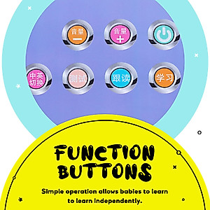 STOBOK 2pcs Fruit, Interactive with Numbers, Charts Between Audio Colors, Music Posters Poster and Chinese Shapes, English Learn Electronic for Home Hanging Preschool