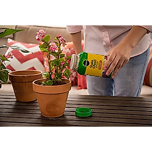 Miracle-Gro Shake 'n Feed All Purpose Continuous Release Plant Food, 1-Pound (Slow Release Plant Fertilizer)
