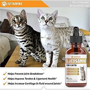 Glucosamine for Cats | Cat Glucosamine | Glucosamine for Cats Liquid | Cat Joint Supplement | Joint Supplement for Cats | Cat Joint Pain Relief | Joint Support for Cats | 1 fl oz: Chicken Flavor