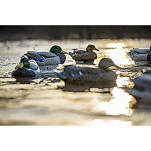 Lifetime Decoys HydroFoam Flocked Mallard 6 Pack - Light as a feather - Lasts forever